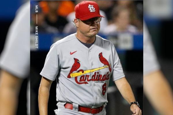 Mike Shildt Biography - Net Worth, Career, Salary, Married, Wife ...